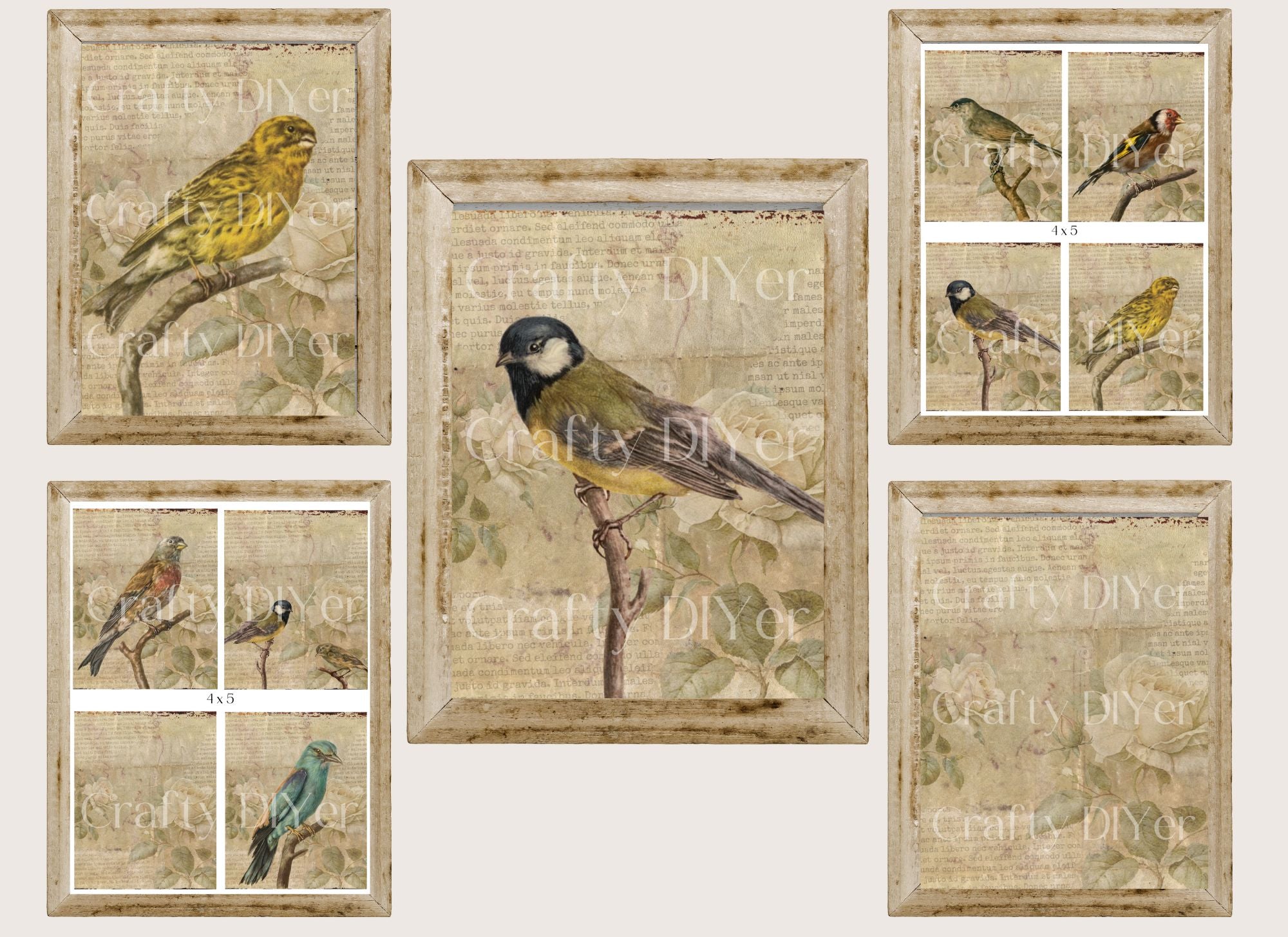 Vintage Birds Printable Set - The Crafty DIYer