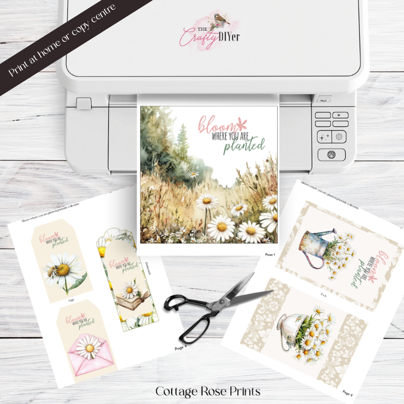 Bloom Where You Are Planted Digital Printables - The Crafty DIYer